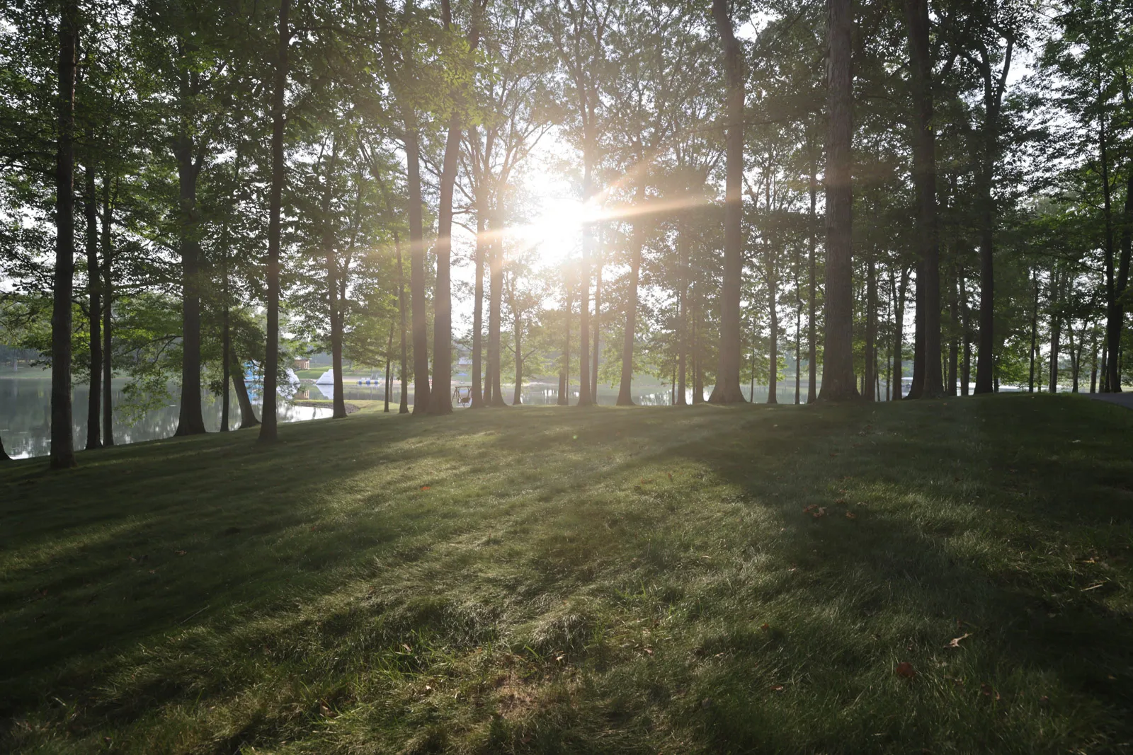 Gallery - Still Waters