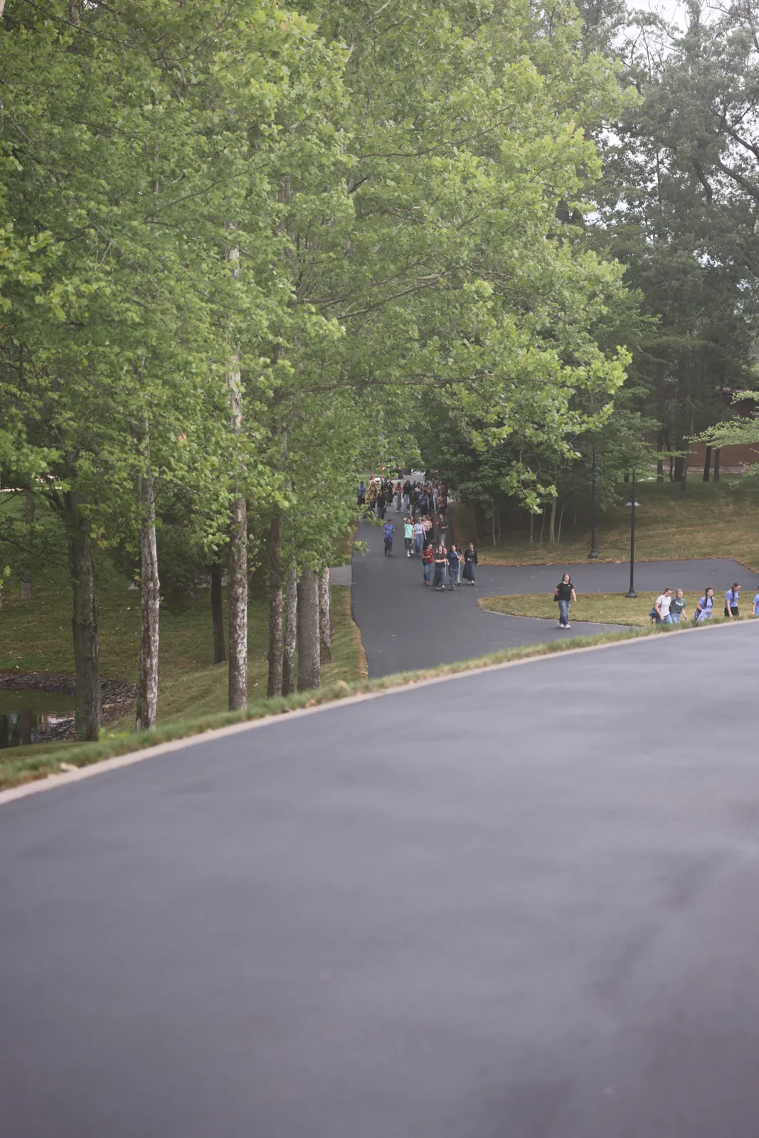 Gallery - Still Waters